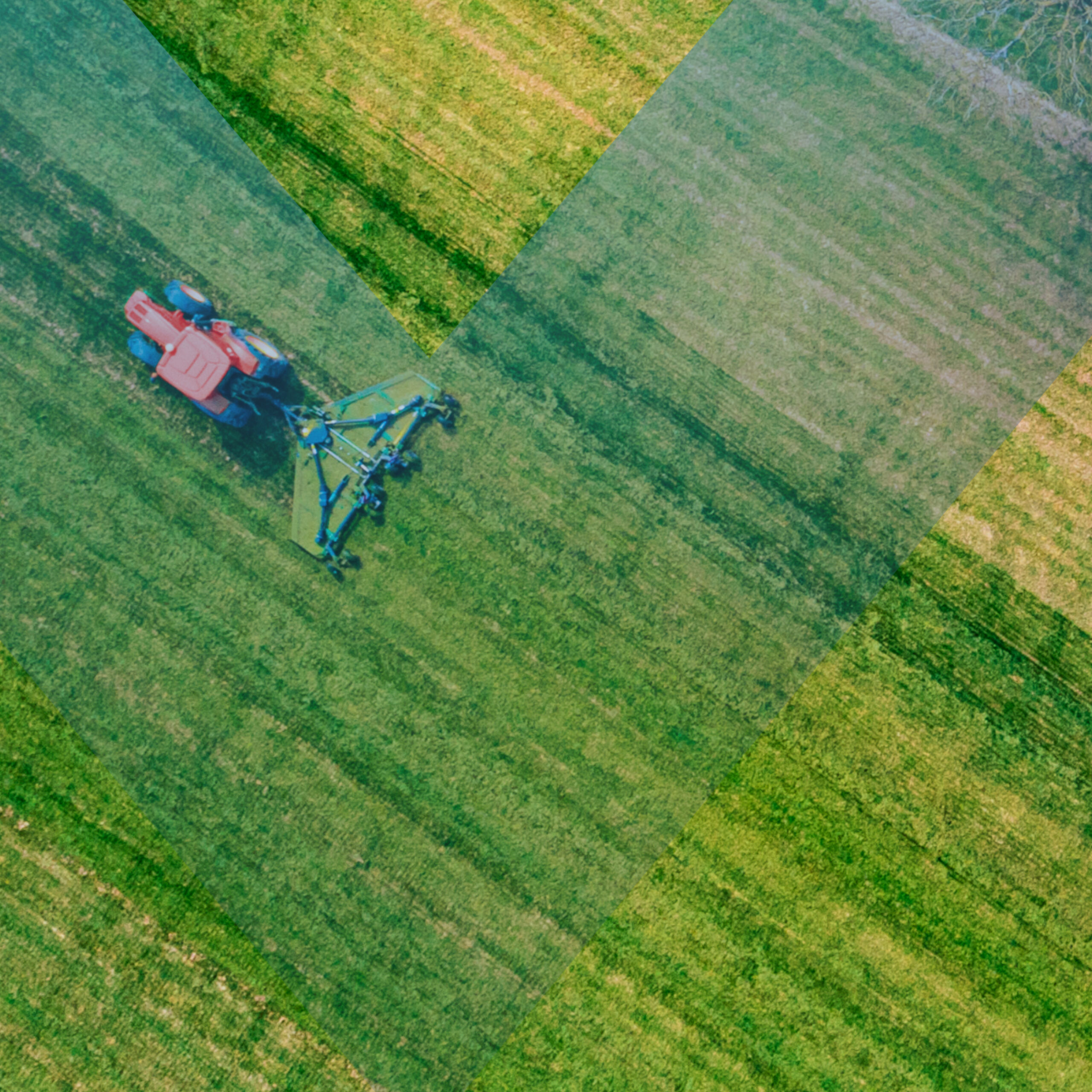 Simplification review of the EU Deforestation… | Mason Hayes Curran