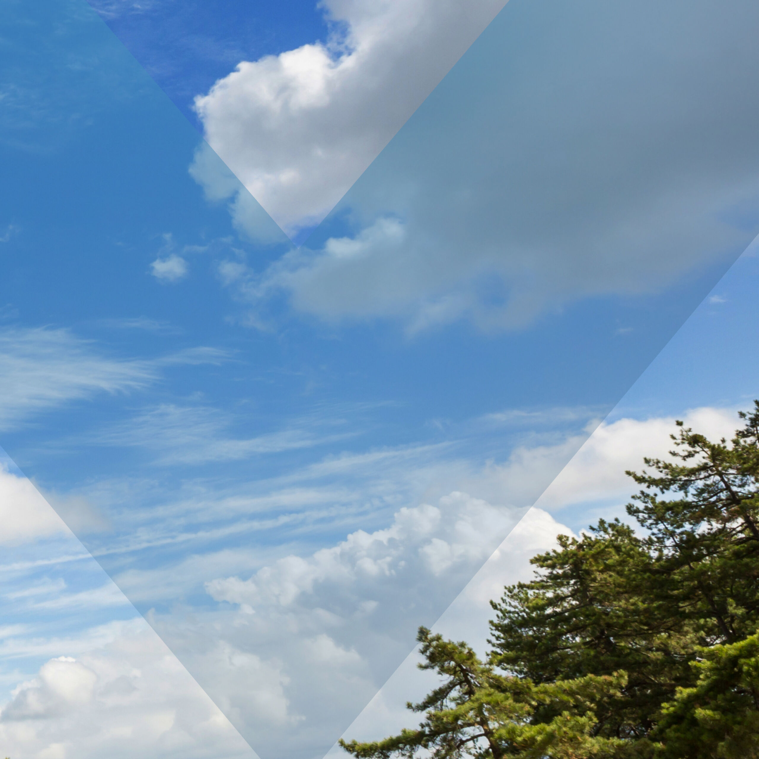 How to set up a charity in Ireland | Mason Hayes Curran